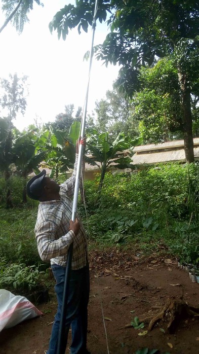 Advice for farmers - Rainforest Saver