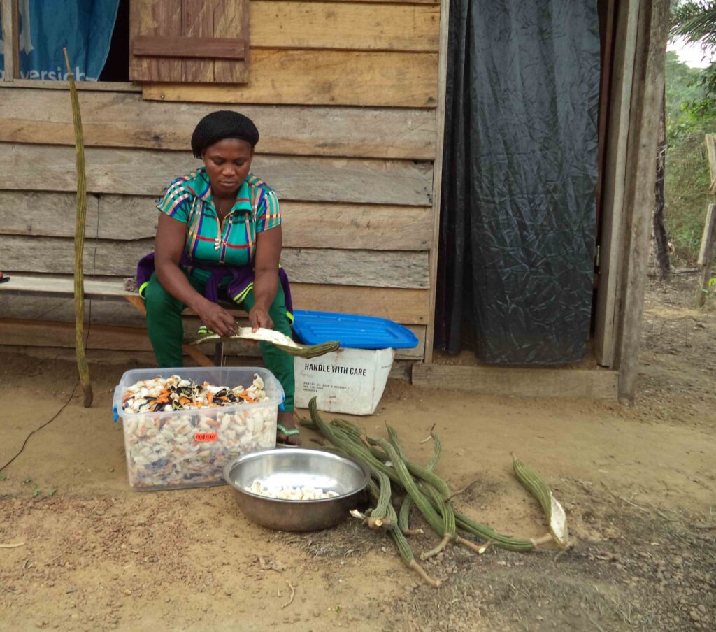 Advice for farmers - Rainforest Saver